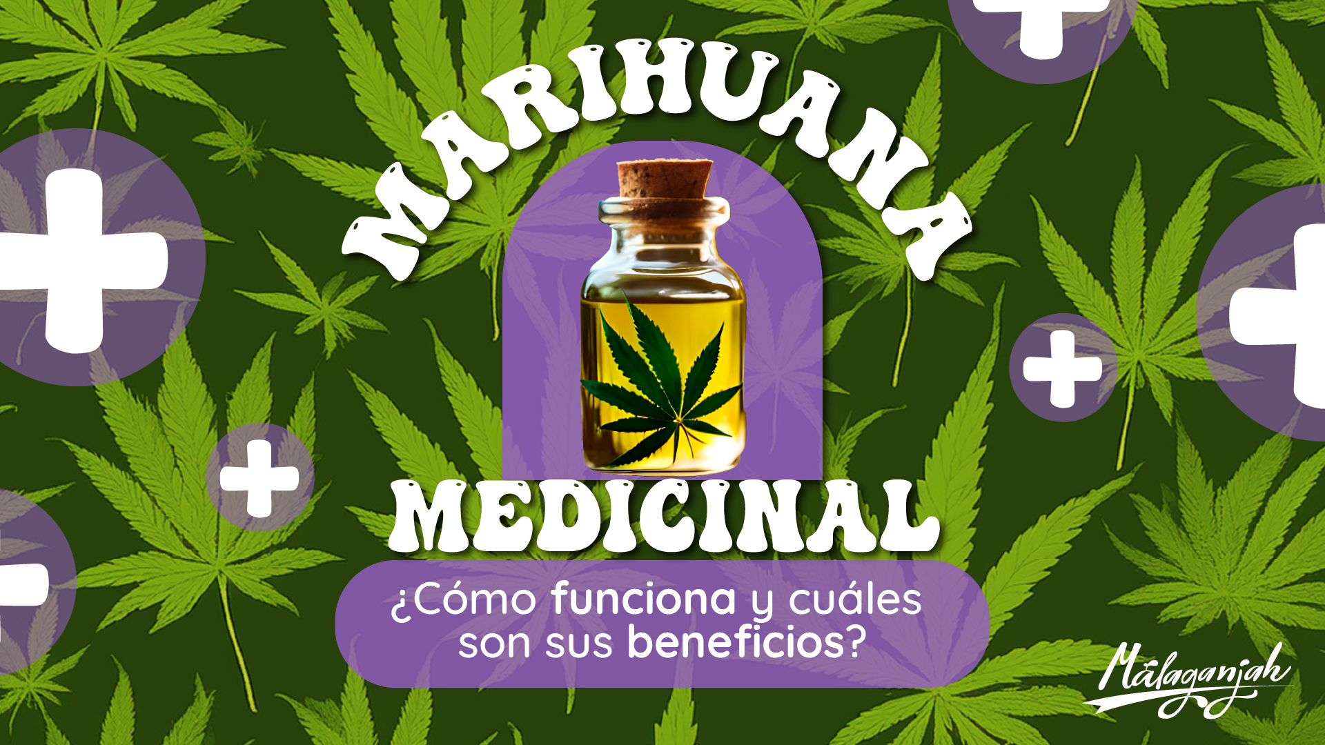 Marihuana medicinal ¿Cómo funciona y cuáles son sus beneficios ... Marihuana medicinal ¿Cómo funciona y cuáles son sus beneficios ...